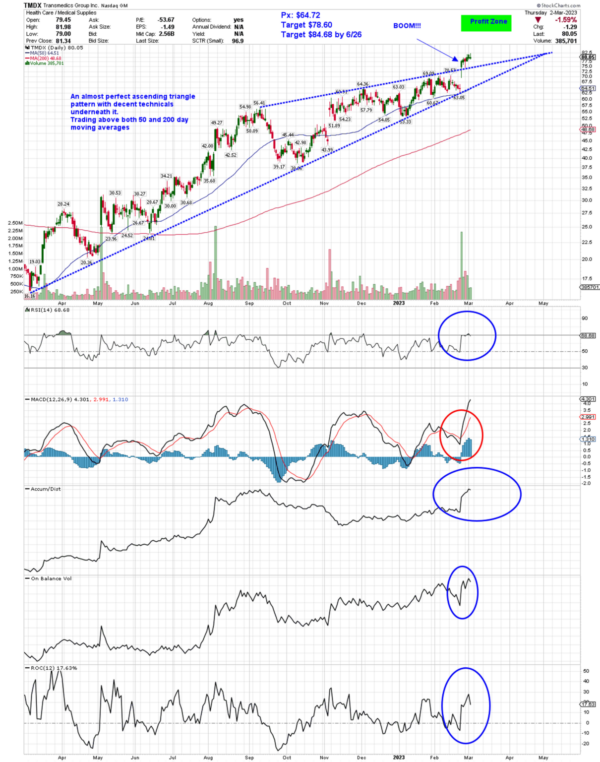 How to Find the Best Stocks for Swing Trading (2023) | Carnivore Trading