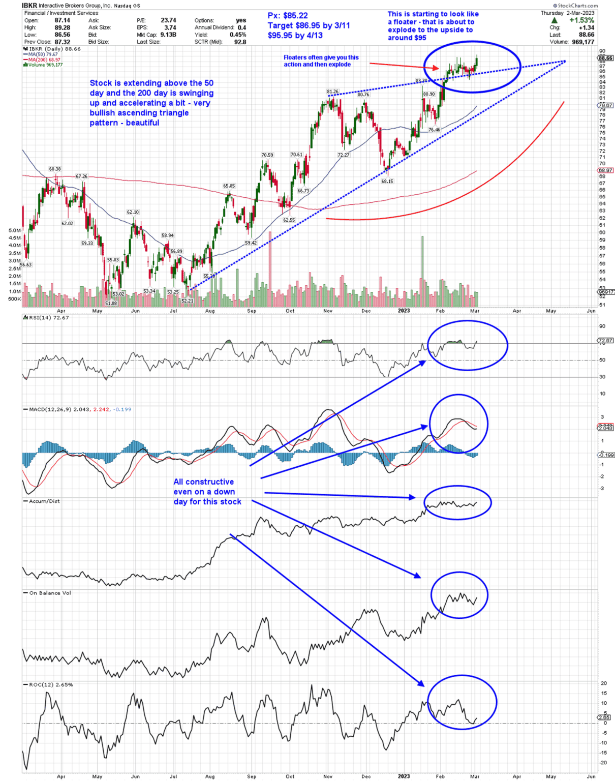 How to Find the Best Stocks for Swing Trading (2023) | Carnivore Trading