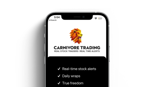 PRO Trader: Daily Stock Market Analysis. Real-time Trade Alerts. Weekly Webinars with Lifetime ...